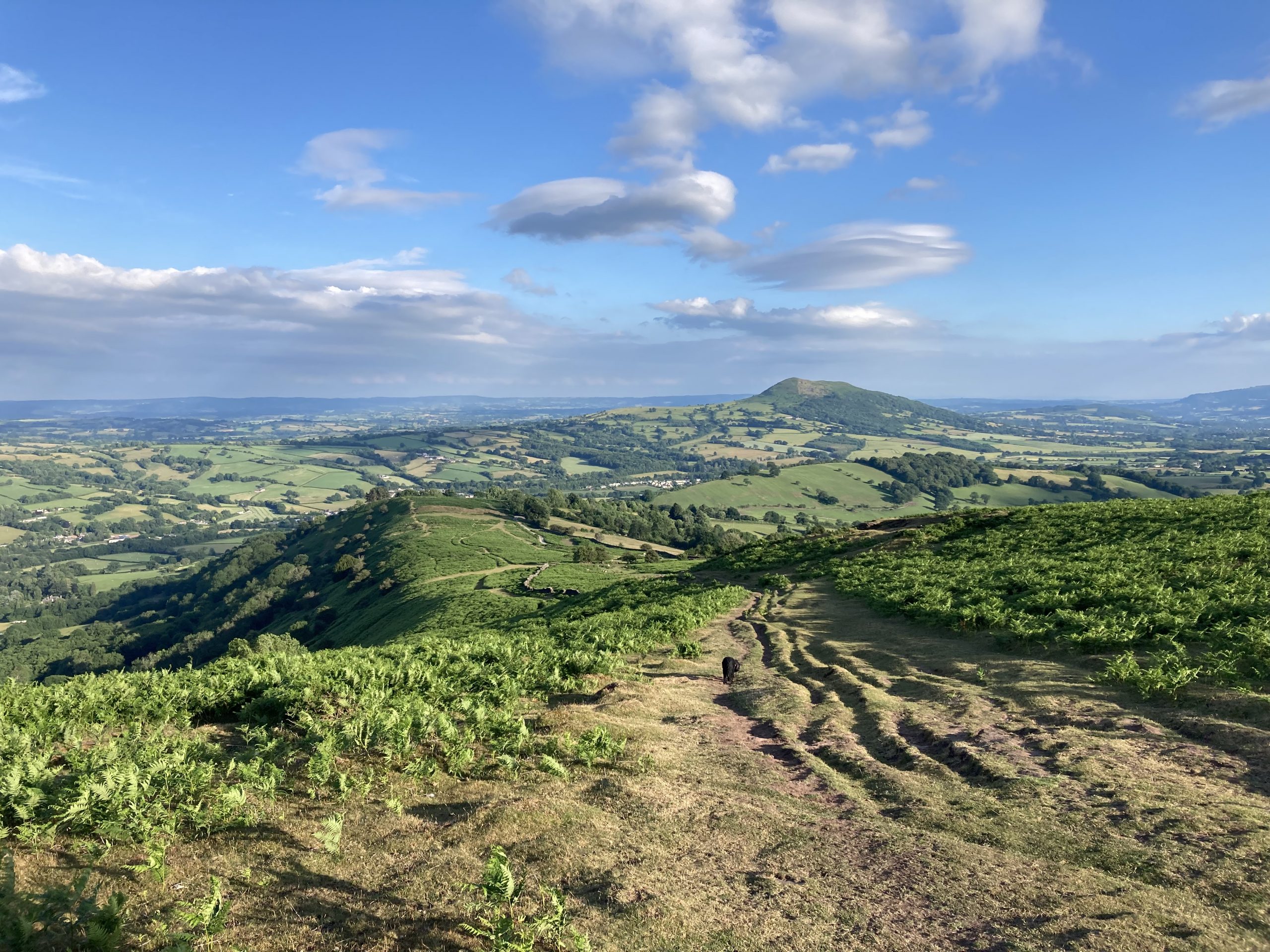 LCT 6: Exposed Sandstone Uplands – Landscape Character Assessment