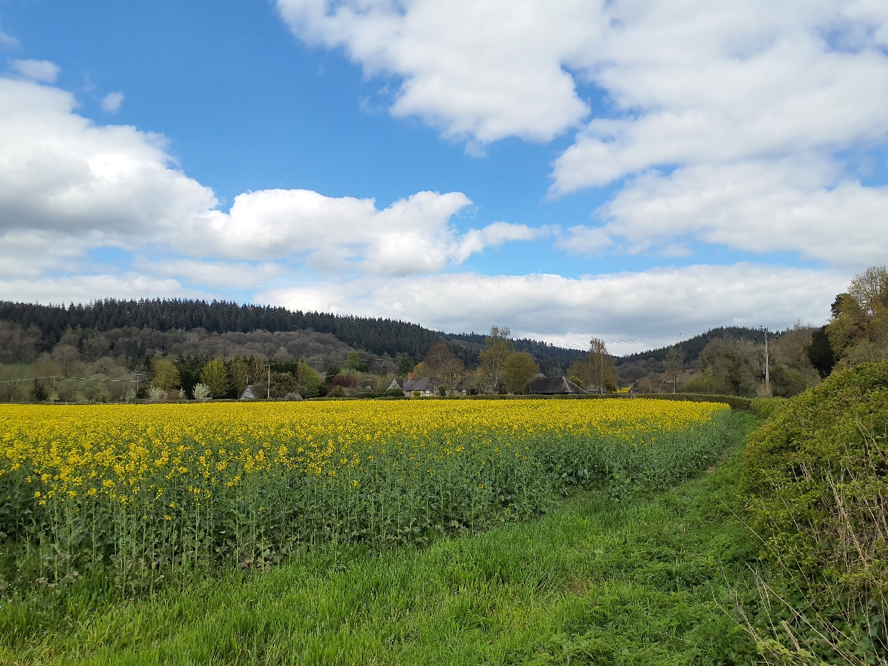 LCT 4: Enclosed River Valleys – Landscape Character Assessment